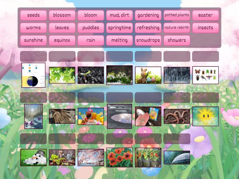 Spring Vocabulary - Match up