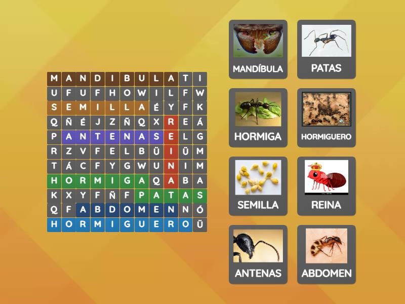 SOPA DE LETRAS. HORMIGAS - Wordsearch