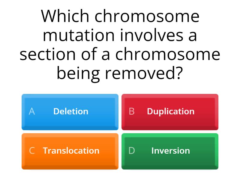 4c - Chromosome Mutations - Quiz