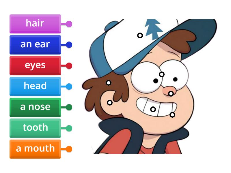 Dipper's face - Labelled diagram