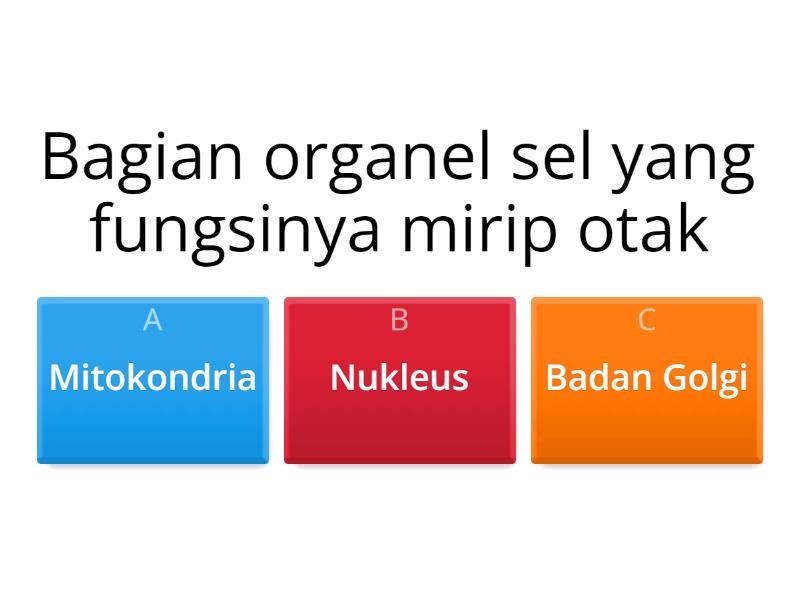 Organel Sel - Quiz