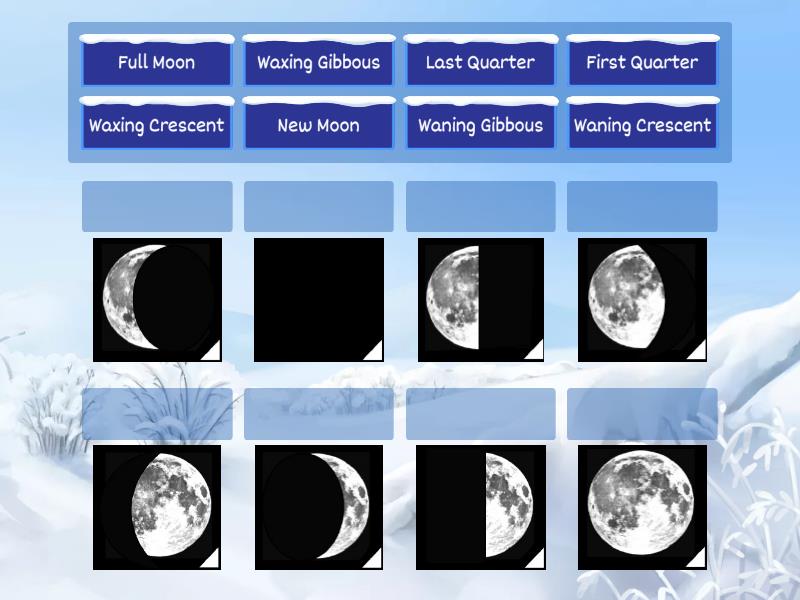 the Moon Phases - Match up