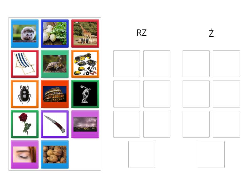 Dopasuj odpowiedni obrazek do danej grupy - Group sort