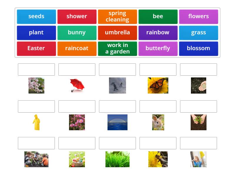 Spring beginners - Match up
