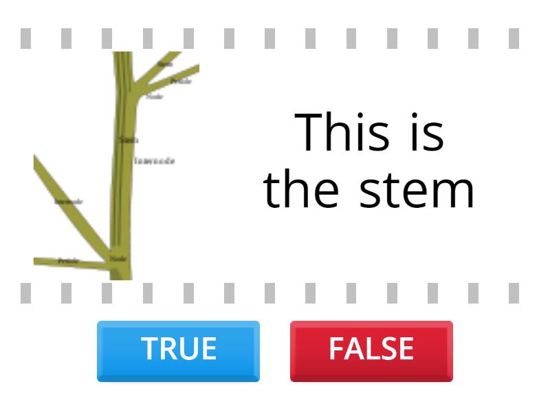 Plants - True or false