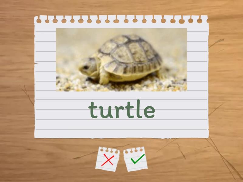 DESCRIBING WORDS (ADJECTIVES) - Flash cards