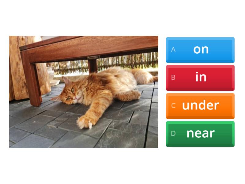 Prepositions of place objects - Quiz