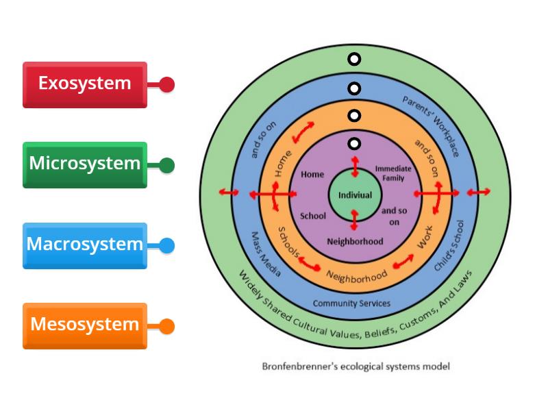 Bronfenbrenner's Ecological Systems Model - Diagrama con etiquetas