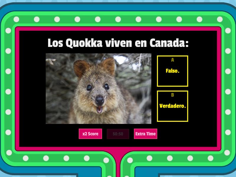 ¿Conoces al Quokka? - Game show de TV