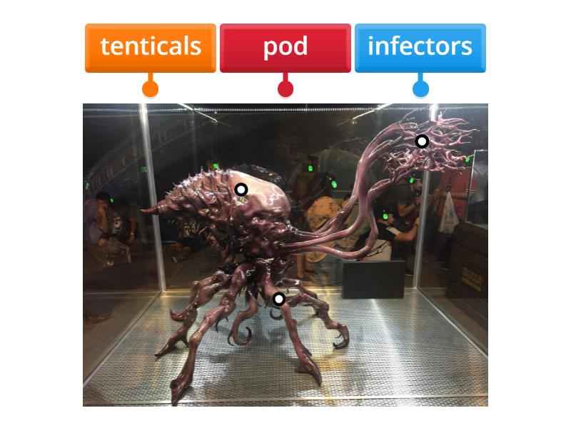 Infection form quiz - Labelled diagram
