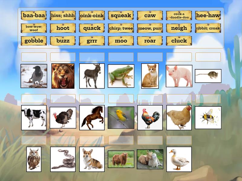 animal sounds - Match up