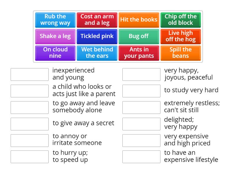 Idiom Match - Match up