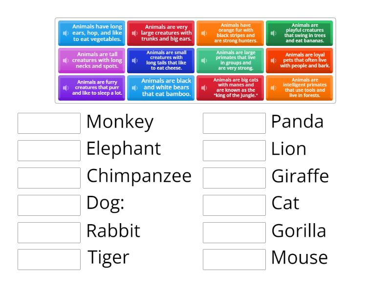 Wordwall Animals