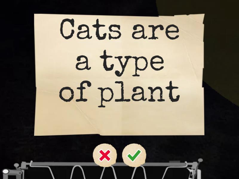 Label Truth or Lie - Generalization - Flash cards