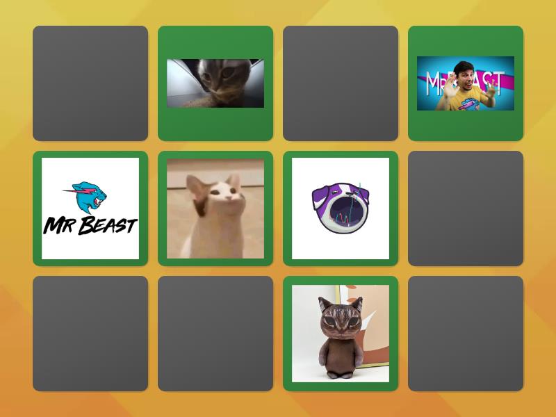 meme - Matching pairs