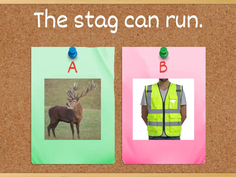 Phonics st sentences - Quiz