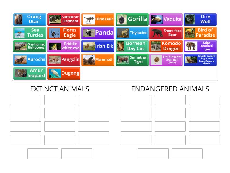 CLASIFIED THESE ANIMALS INTO THE RIGHT TYPE - Group sort