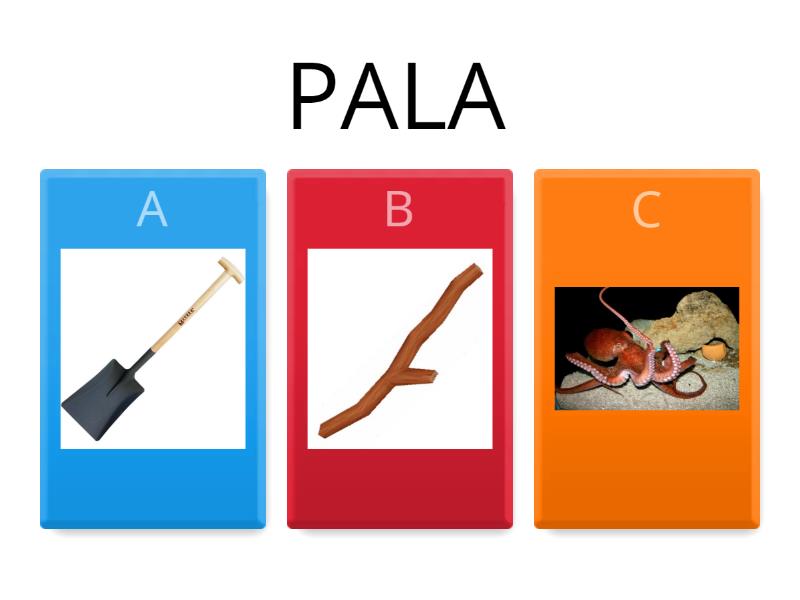 LEE LA PALABRA MAYUSCULA - Quiz