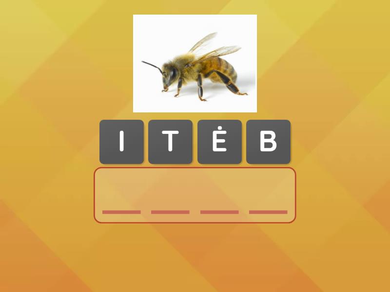 AKAITYK SU RAIDE B - Anagram