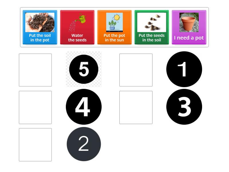 How to plant a seed - Match up