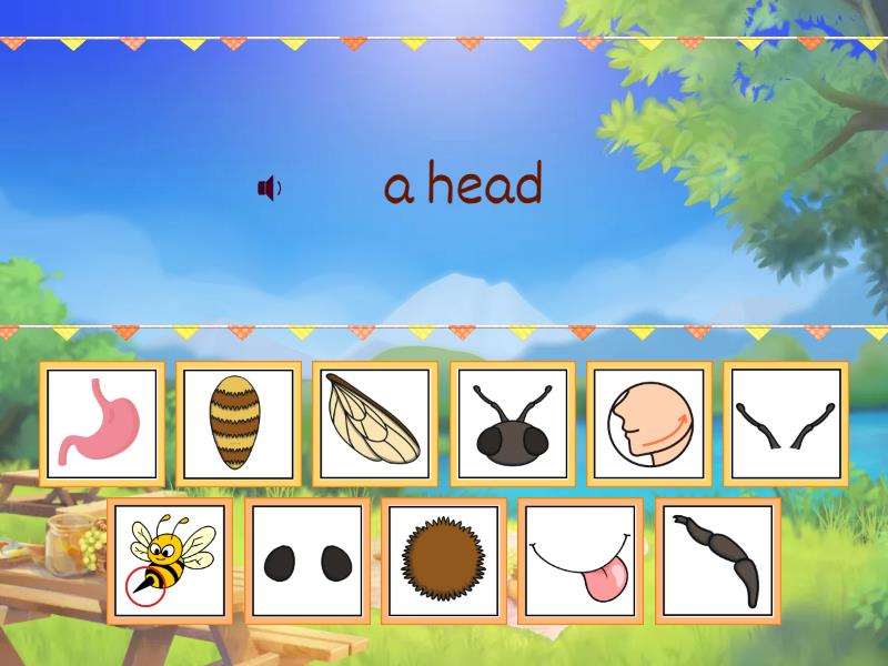 Busy bees_Parts of the body (find and match) - Find the match