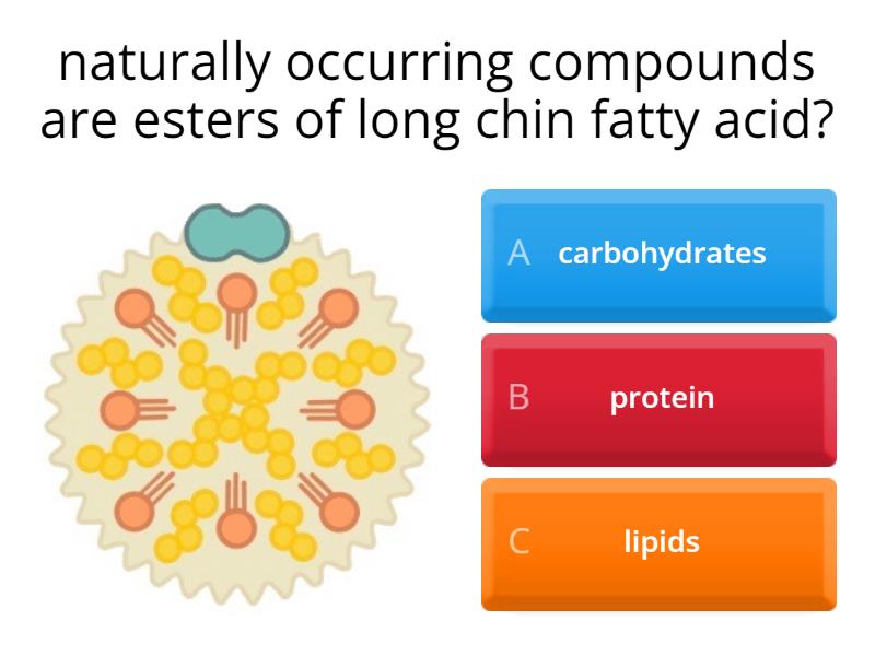 lipids test - Quiz