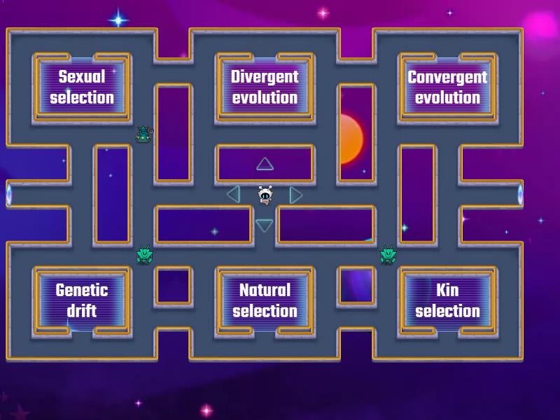 Evolution - Maze chase