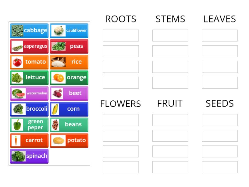 Parts of the plants we eat - Group sort