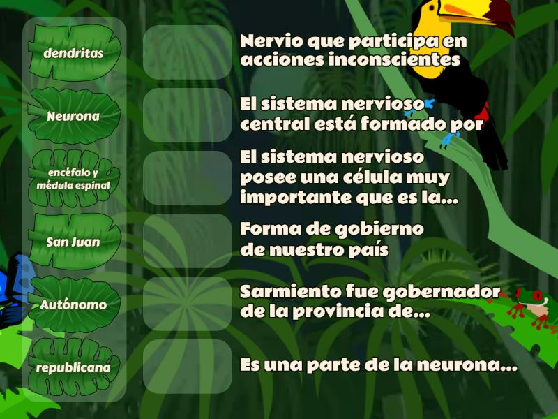 Ciencias B - Match up