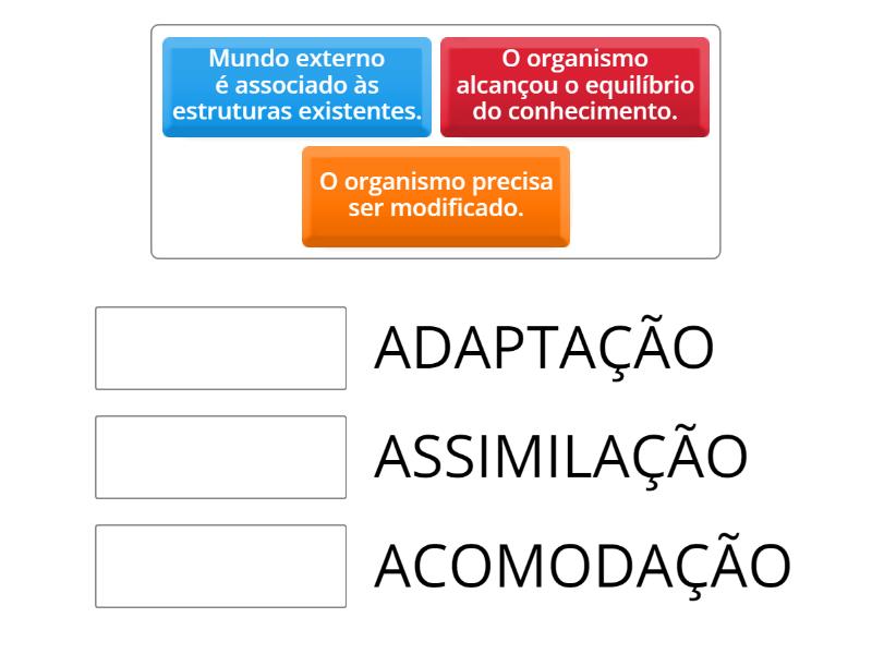 PIAGET - CONCEITO DE EQUILIBRAÇÃO MAJORANTE - Match up