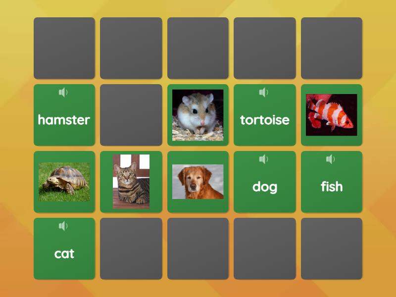 Animals.Pets. matching - Matching pairs