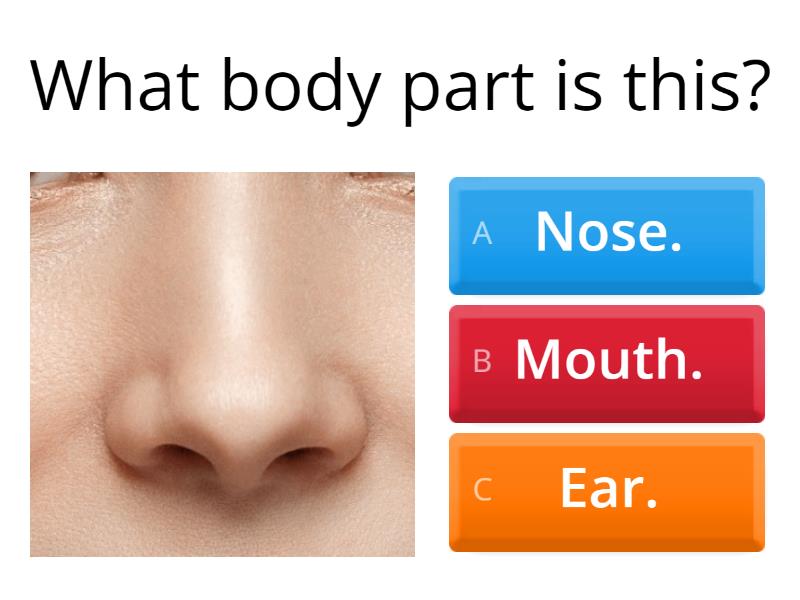 BODY PARTS - Cuestionario