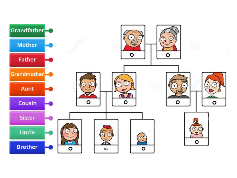 Family tree - Labelled diagram