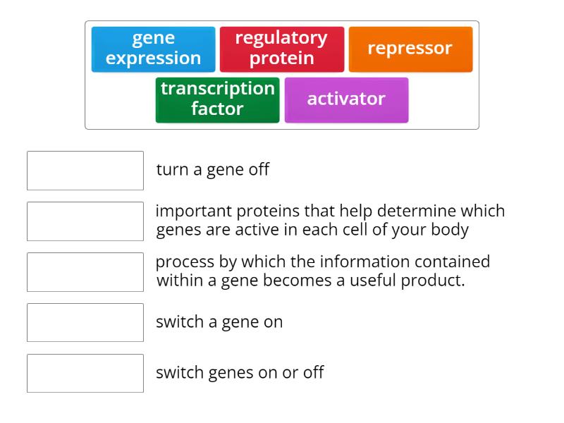 Gene Expressions - Match up