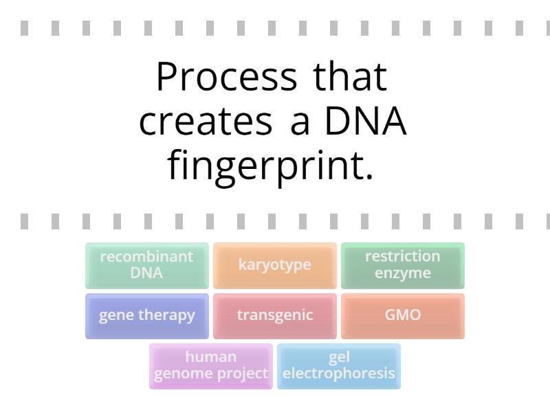 Genetic Technology - - Find the match