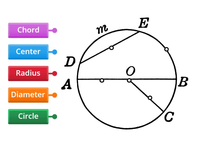 PARTS OF CIRCLE Grade 5 - Labelled diagram