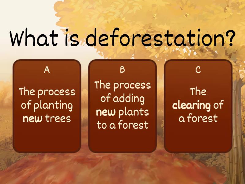 Deforestation - Quiz