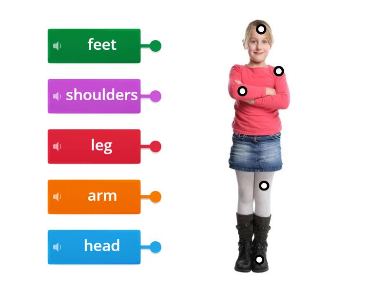Body Parts - Imagem com legenda