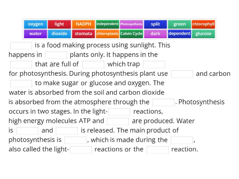 Photosynthesis - 2024 #2 - Missing word