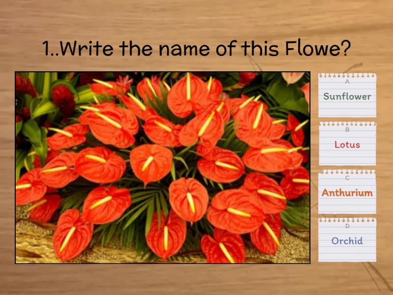 English , Grade 3 - Quiz