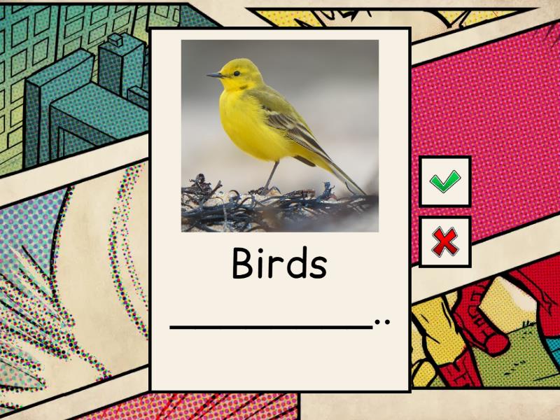 Raz (B): Animals Sounds - Flash cards