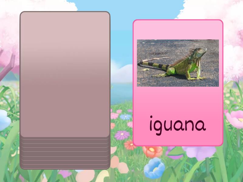 Animal - Speaking cards