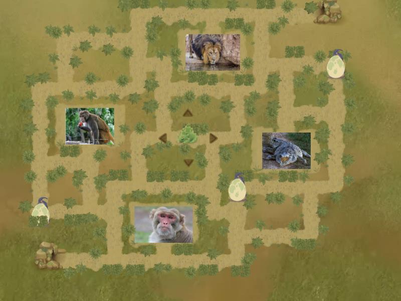 Zoo - Wild animals - Maze chase