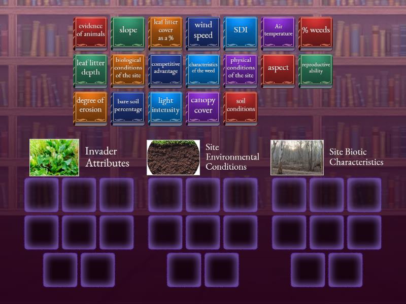 Weed Invasion Model 2 - Group sort