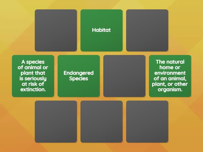 Endangered animals vocabulary - Matching pairs