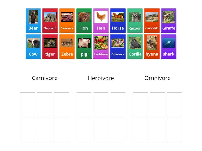 Carnivore, Herbivore and omnivore - Group sort