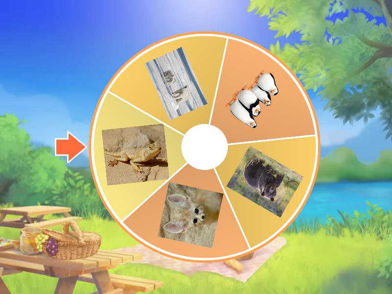 choose an animal - Spin the wheel