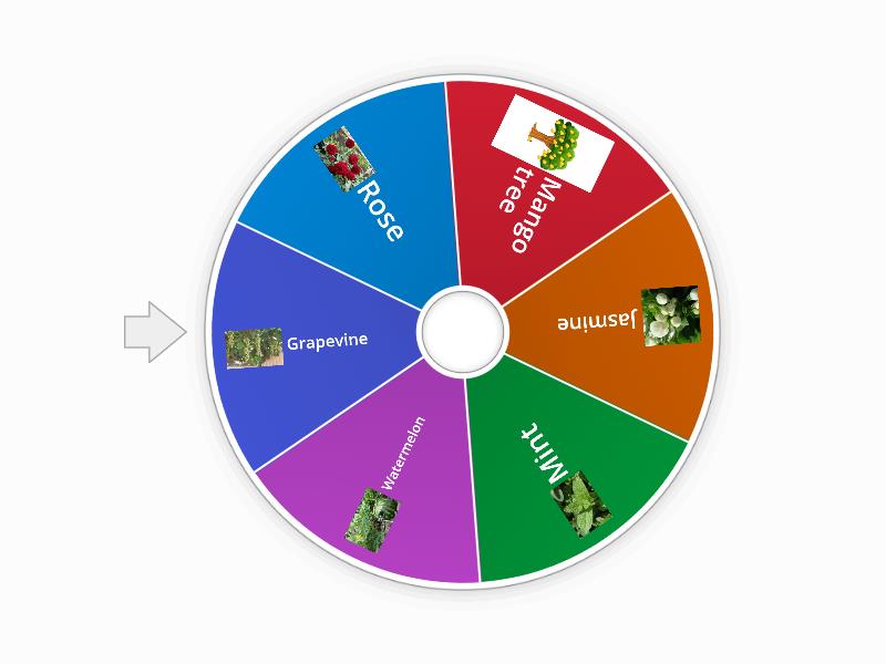 Types of plants spin wheel - Random wheel