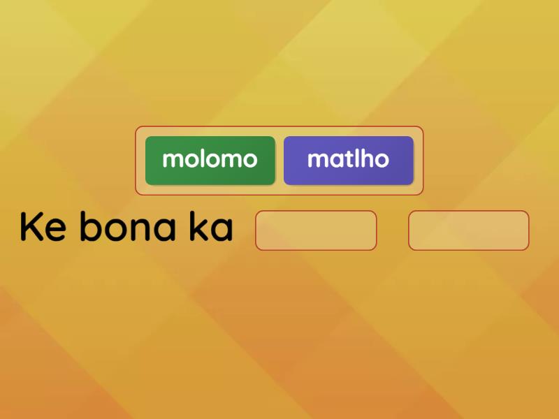 Mophato 1 -Motshameko wa Dikarolo tsa mmele le tiriso ya tsona./ Grade ...