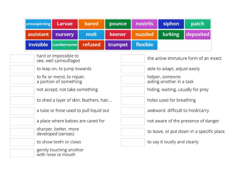 Hmh Grade 3 Module 6 Vocabulary Review Match Up